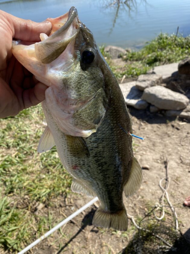 The Great Kansas Fishing Derby is underway for the next two months ...